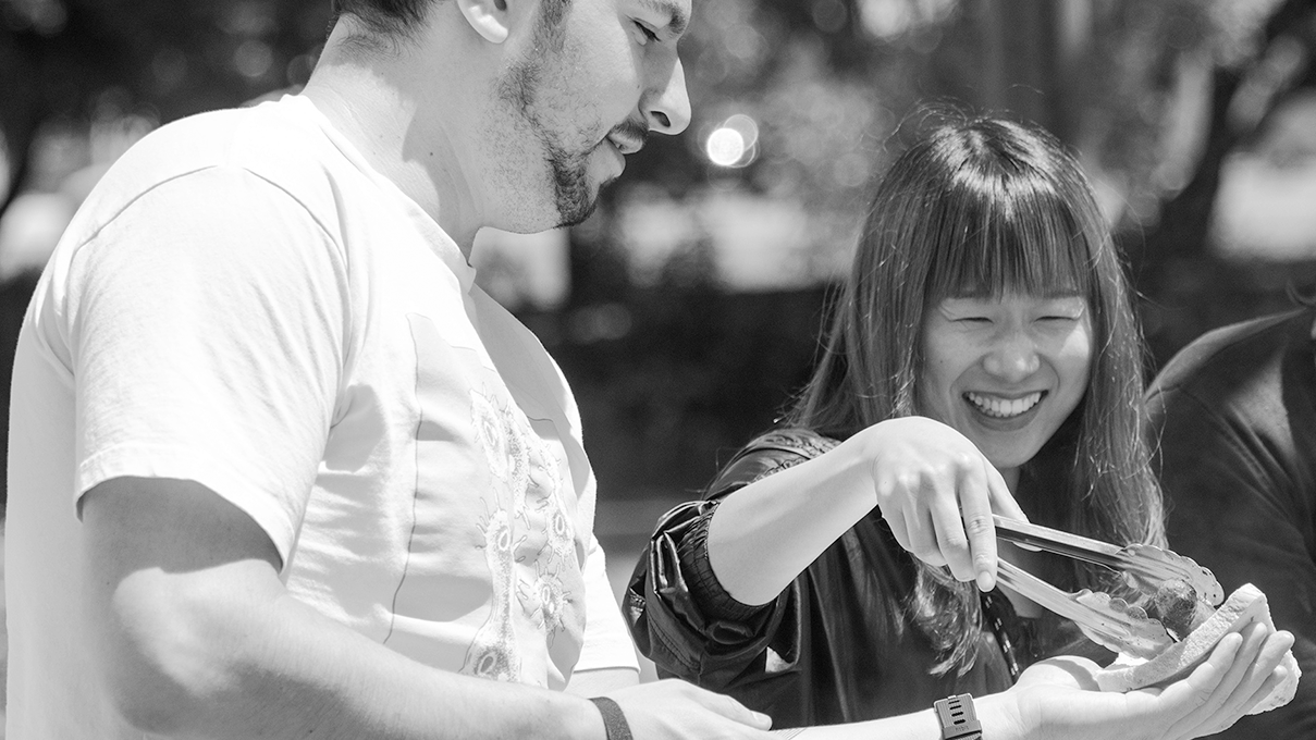 Careers - Arlo Training Management Software